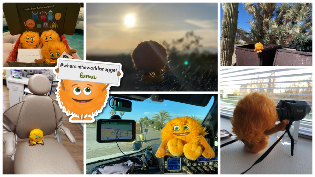 Nugget - Luma Brighter Learning